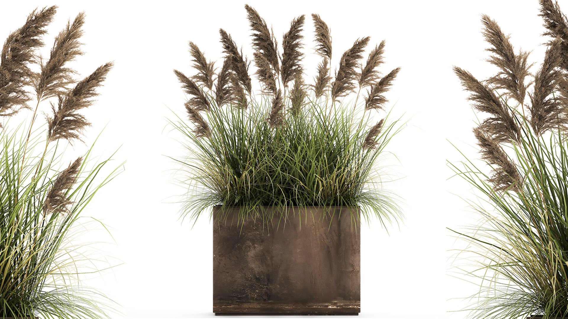 Reeds In A Rusty Flower Pot For The Interior 934 3D Model - TurboSquid ...