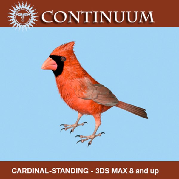 3d model bird cardinal standing wings