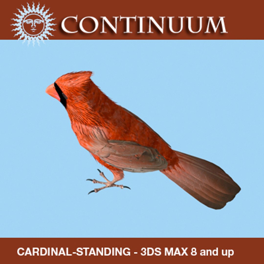 3d Model Bird Cardinal Standing Wings