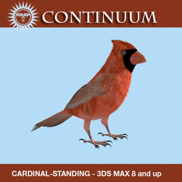 3d model bird cardinal standing wings