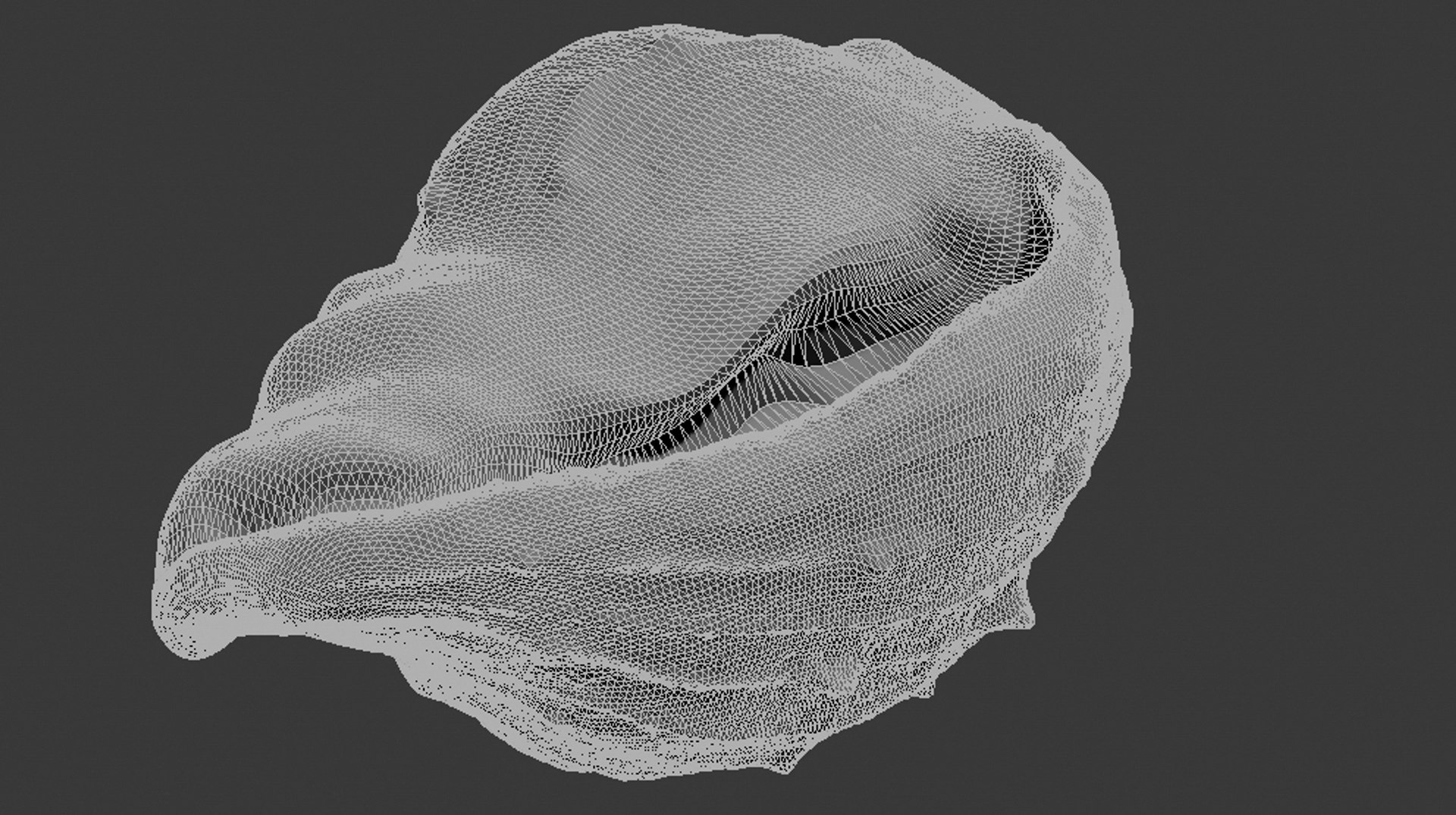 3d Max Seashell Aquarium