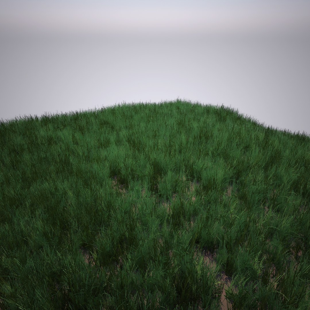 Grass Wild 3D - TurboSquid 1636117