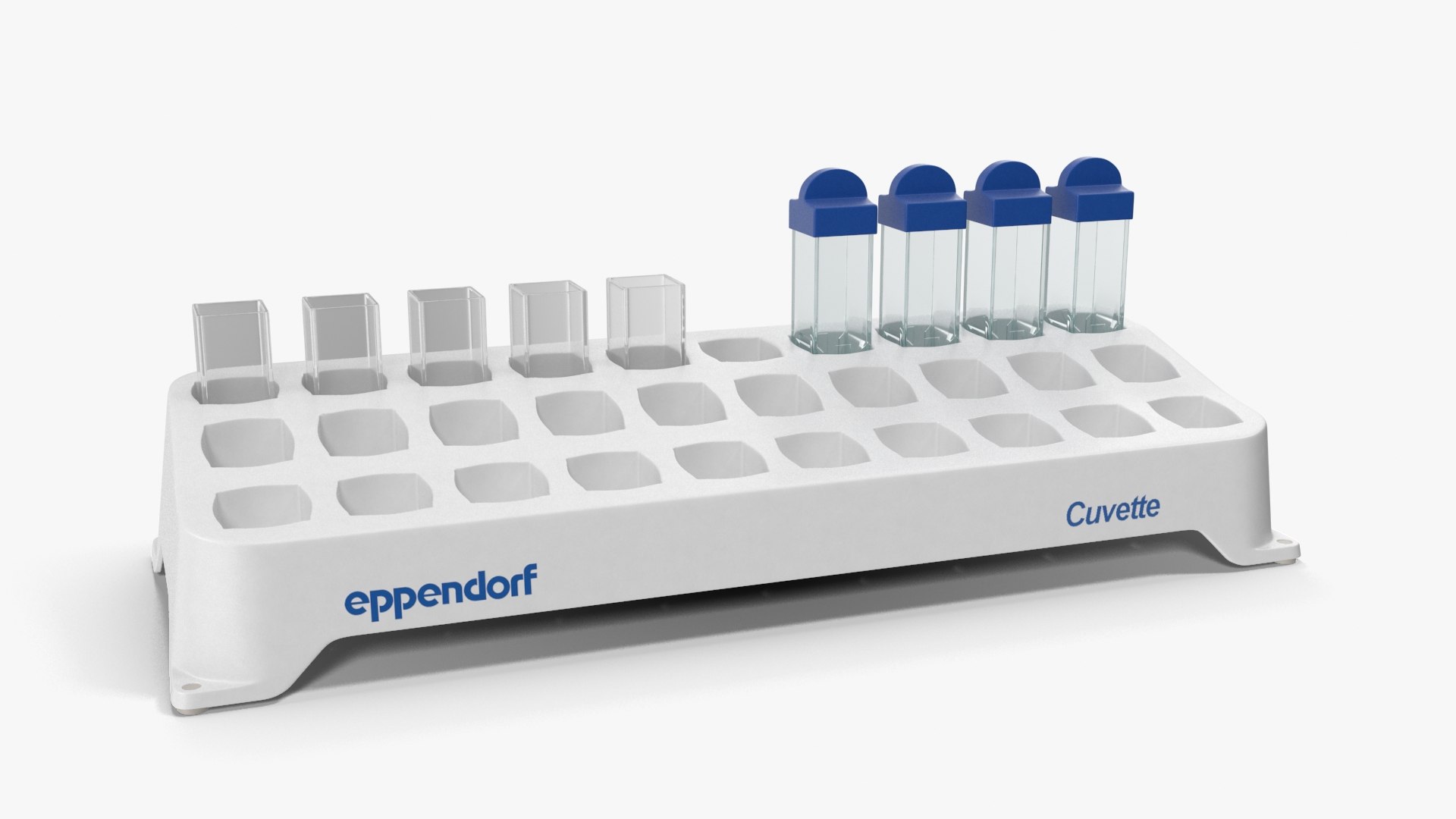 3D Model Eppendorf Tube Rack Cuvette - TurboSquid 1458475