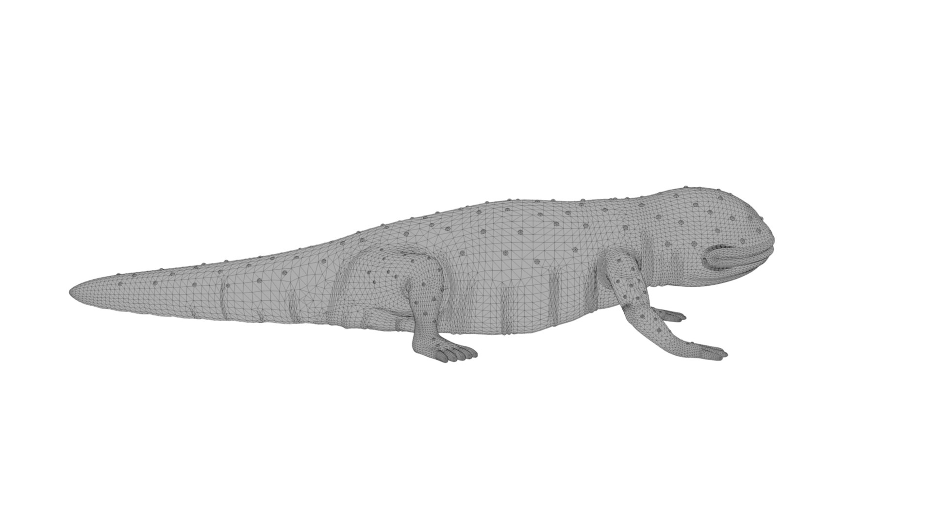 Giant Salamander 3D Model - TurboSquid 2254873