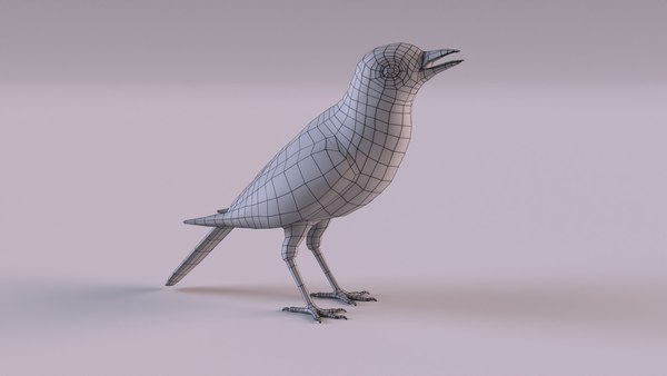 3D Birds collection - TurboSquid 1886964