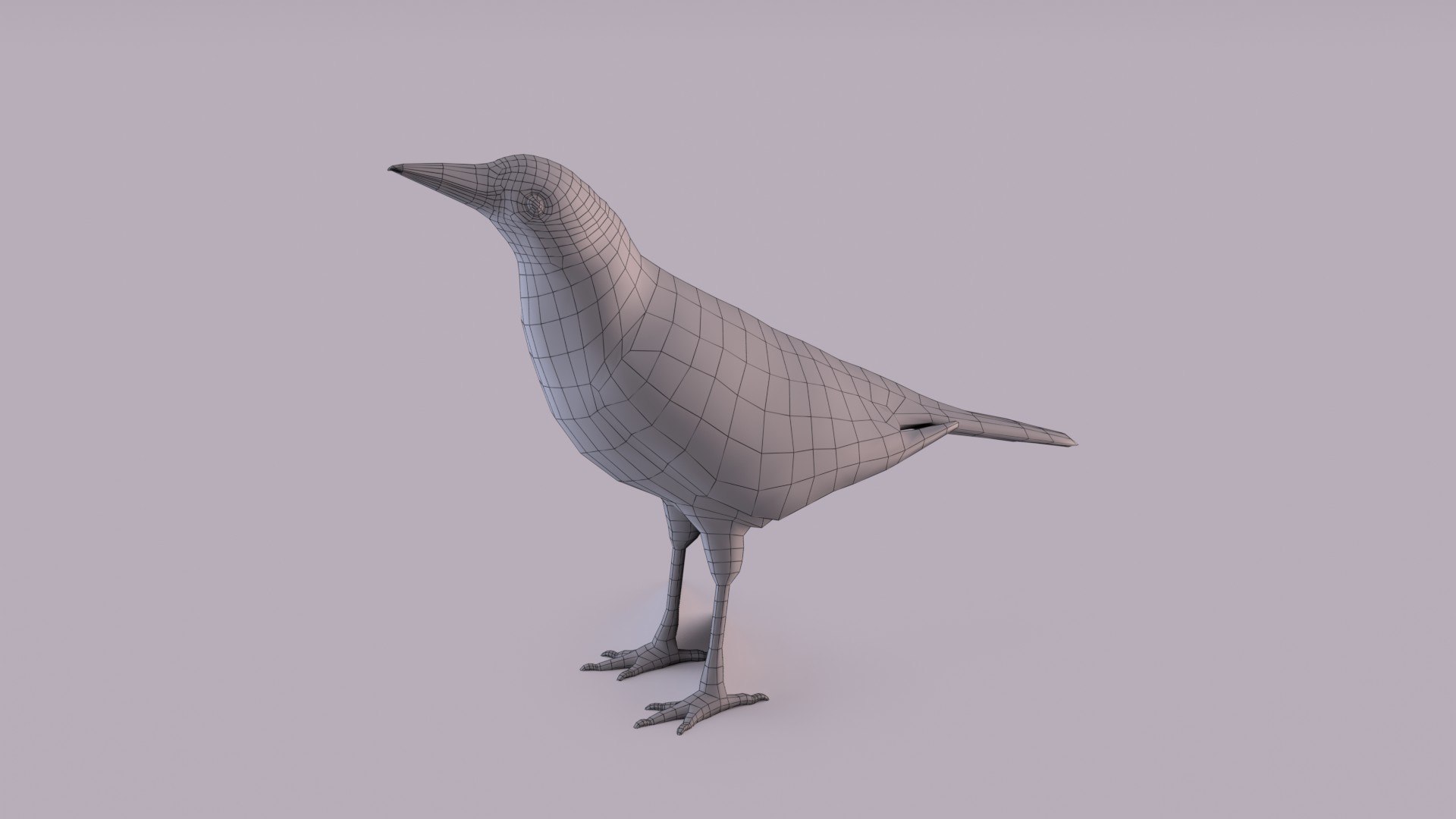 3D Birds Collection - TurboSquid 1886964