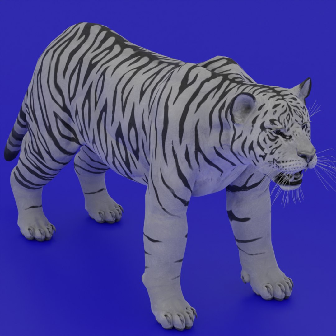 3D White Tiger - TurboSquid 2279590