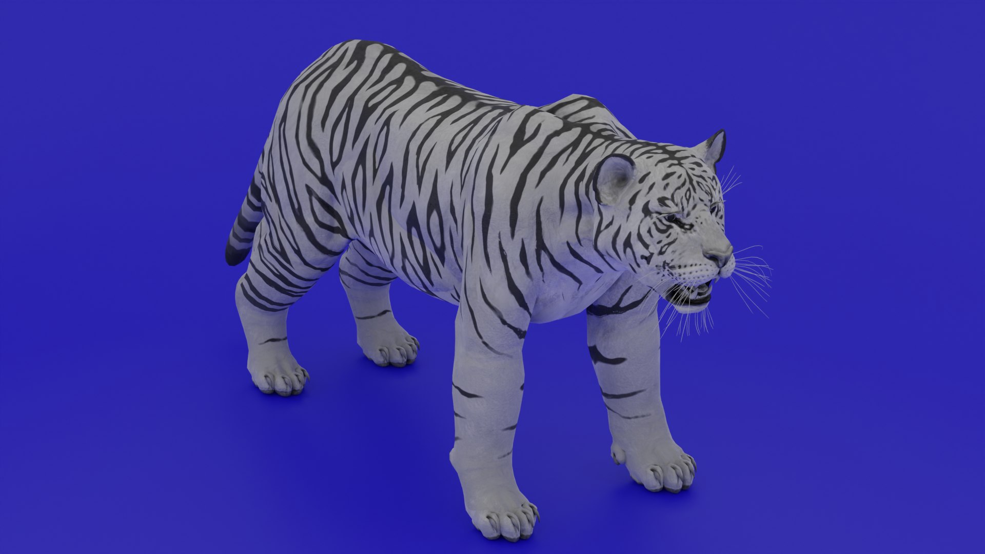 3D White Tiger - TurboSquid 2279590