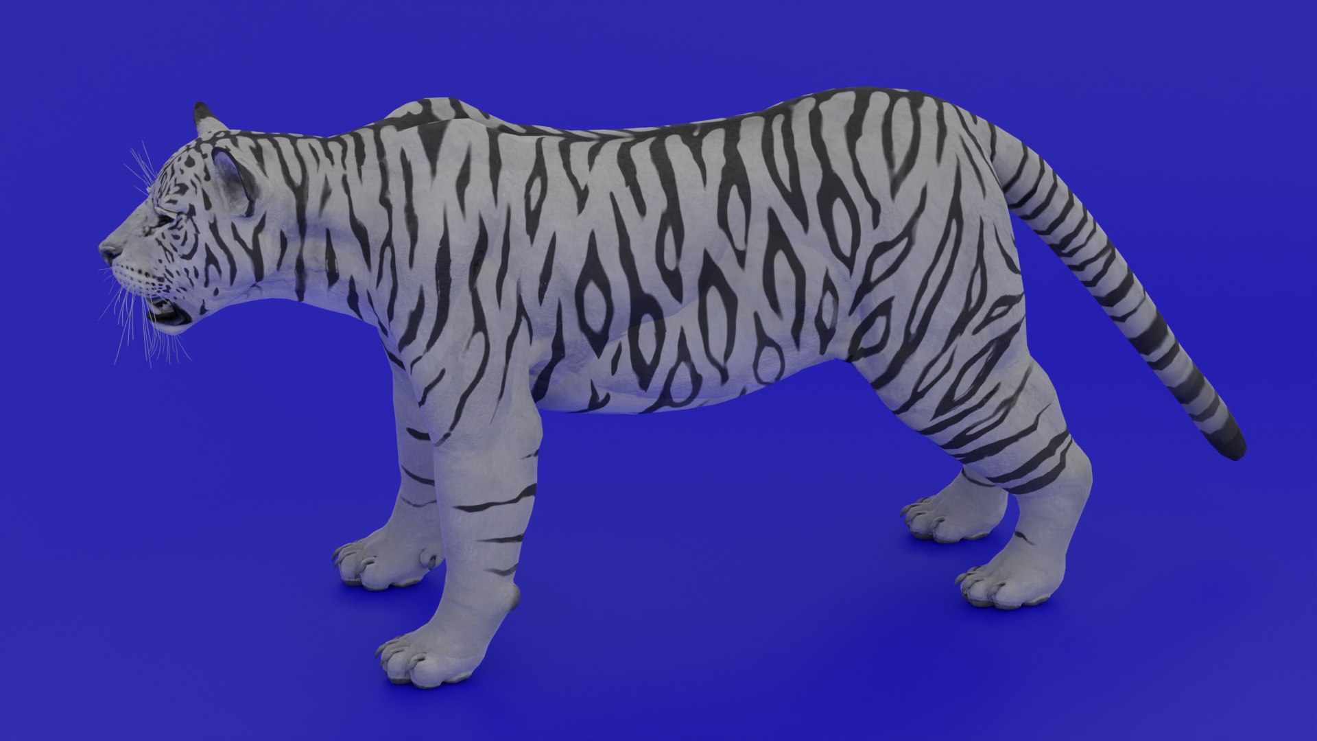 3D White Tiger - TurboSquid 2279590