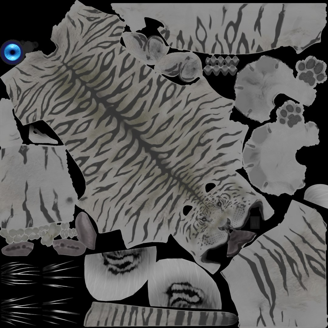3D White Tiger - TurboSquid 2279590