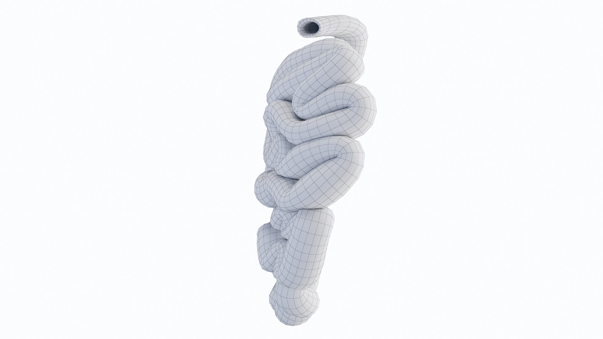 3D Small Intestine - TurboSquid 2200656