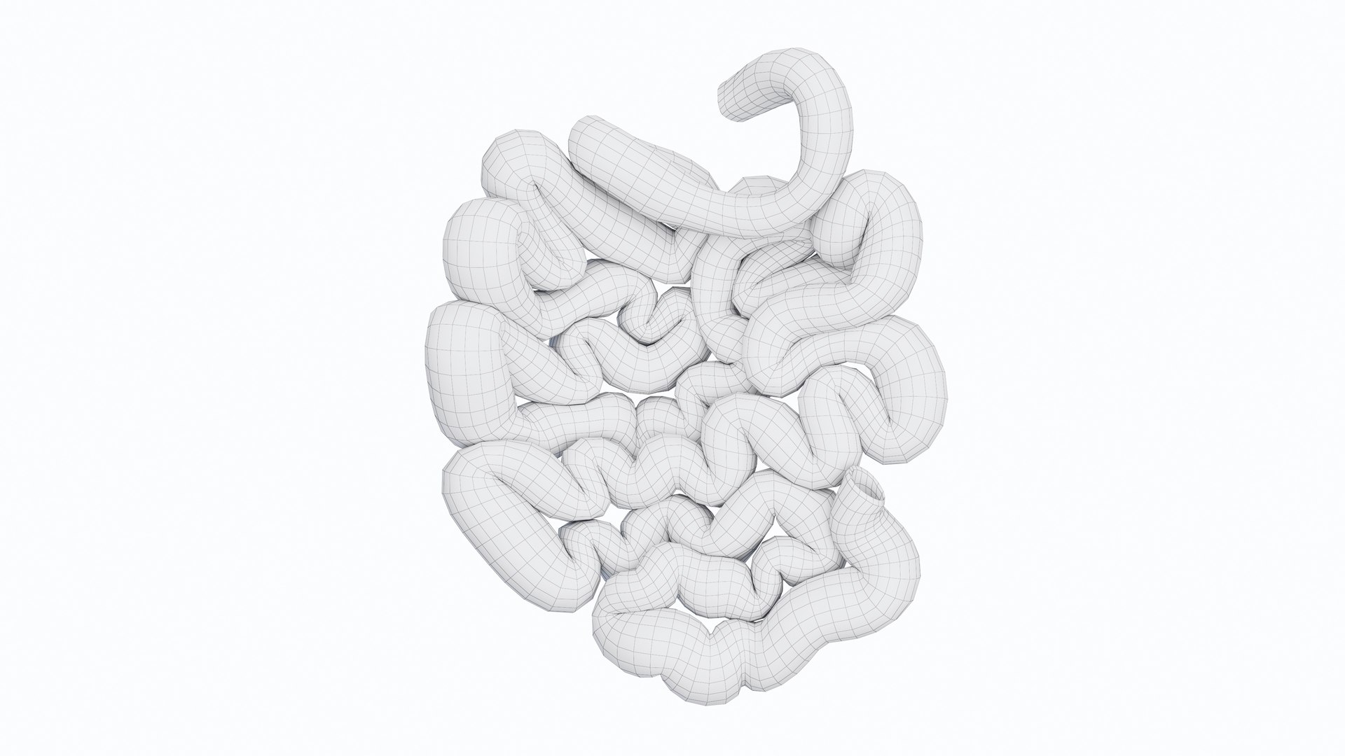 3D Small Intestine - TurboSquid 2200656