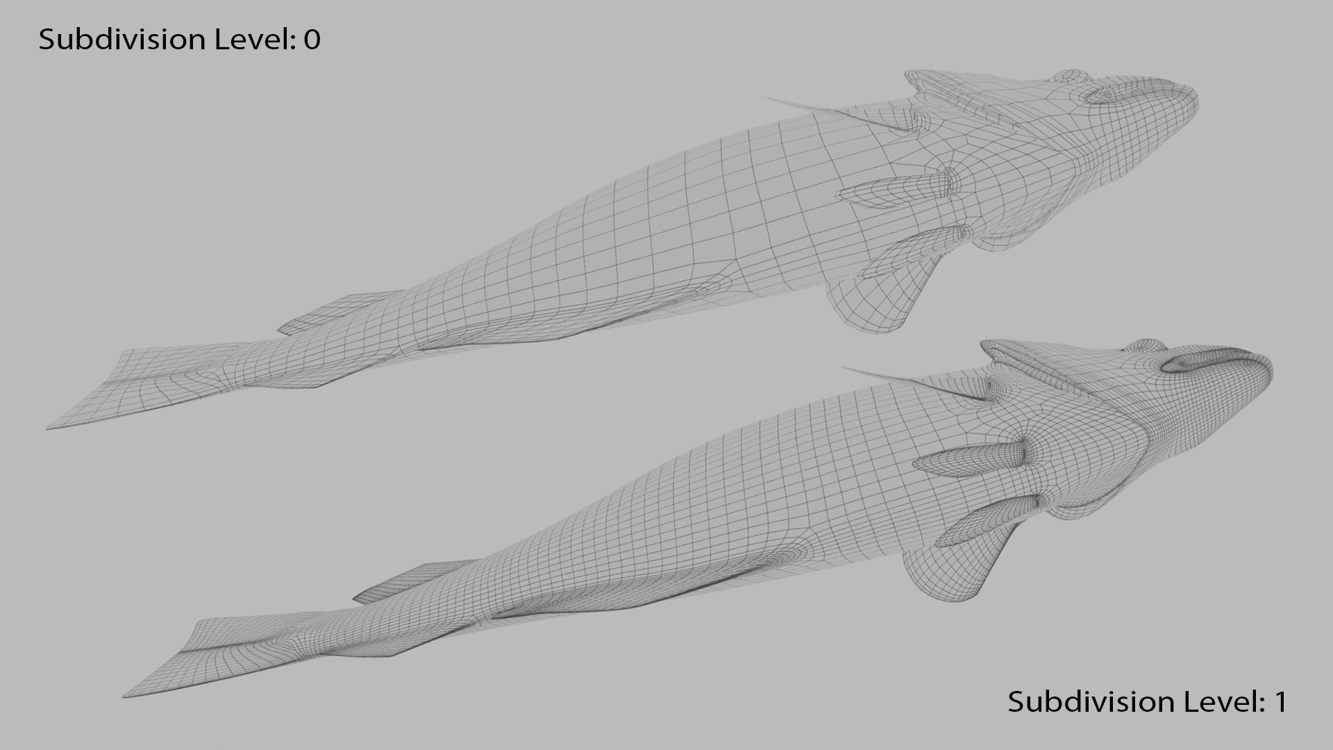 3D Pollock Animated - TurboSquid 2353008
