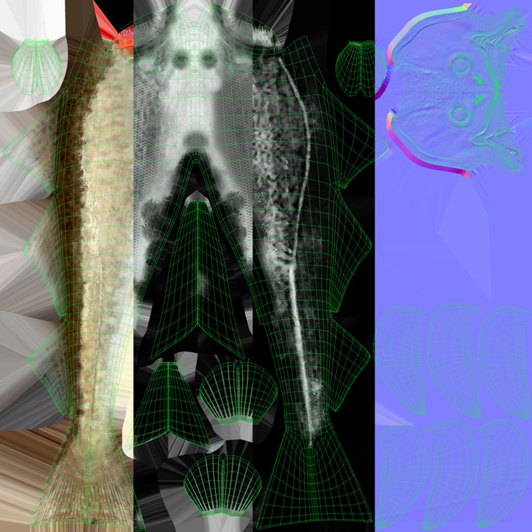 3D Pollock Animated - TurboSquid 2353008