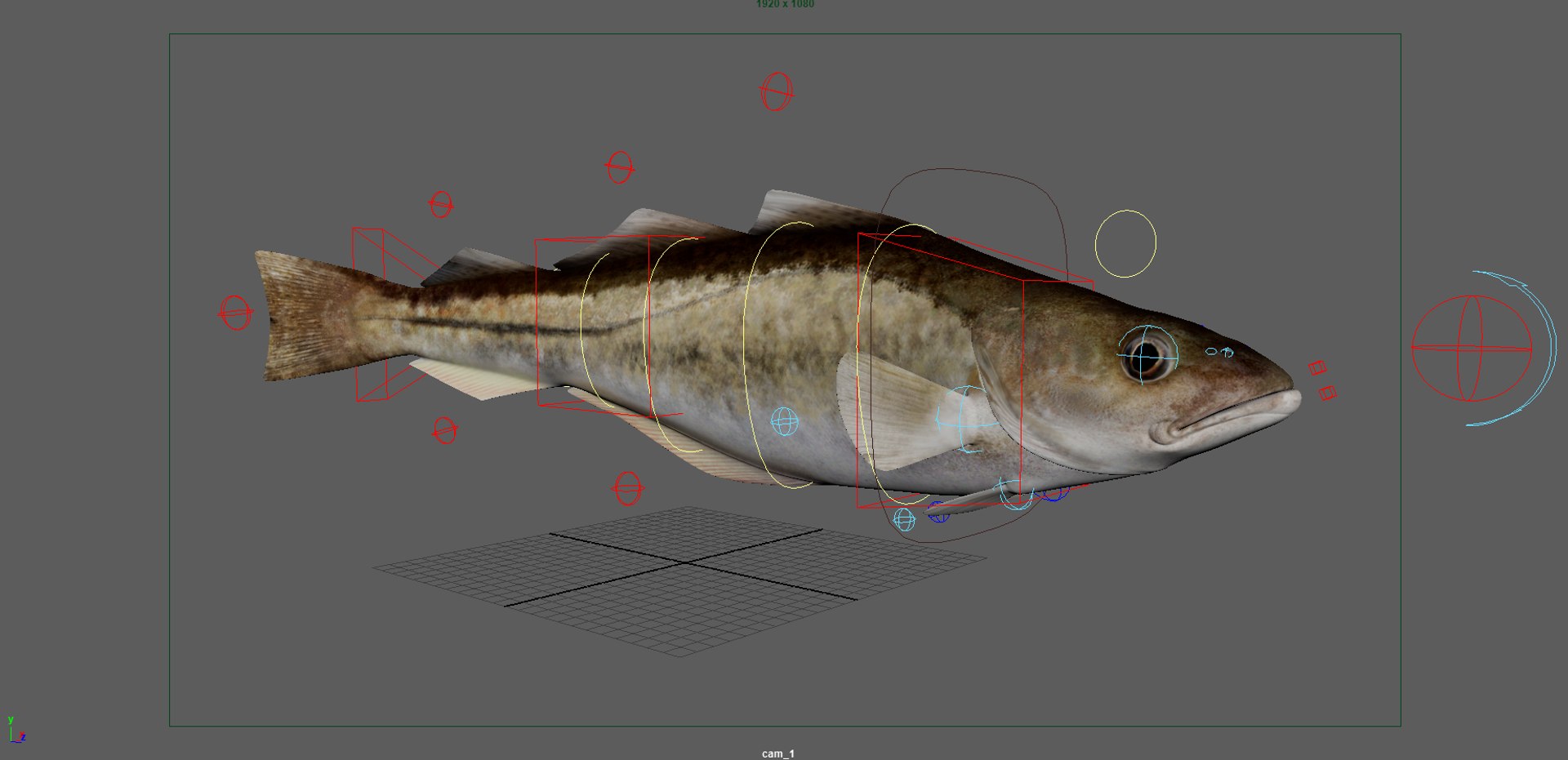 3D Pollock Animated - TurboSquid 2353008