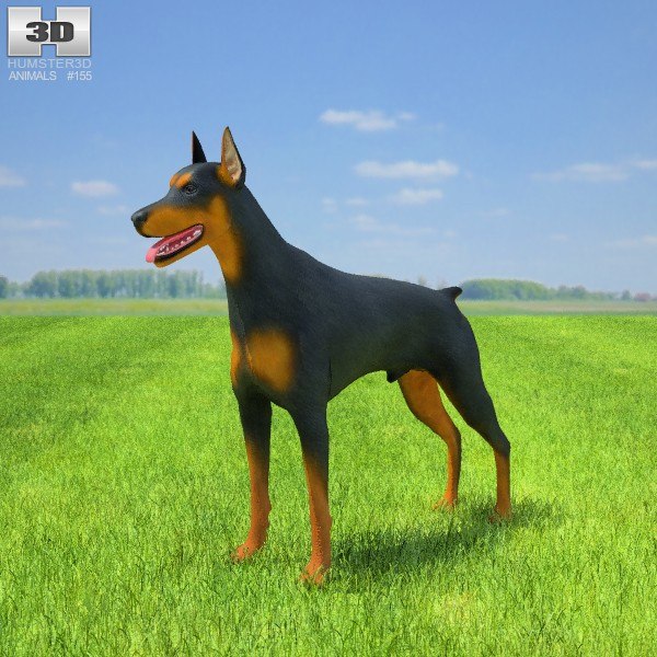 doberman pinscher 3ds