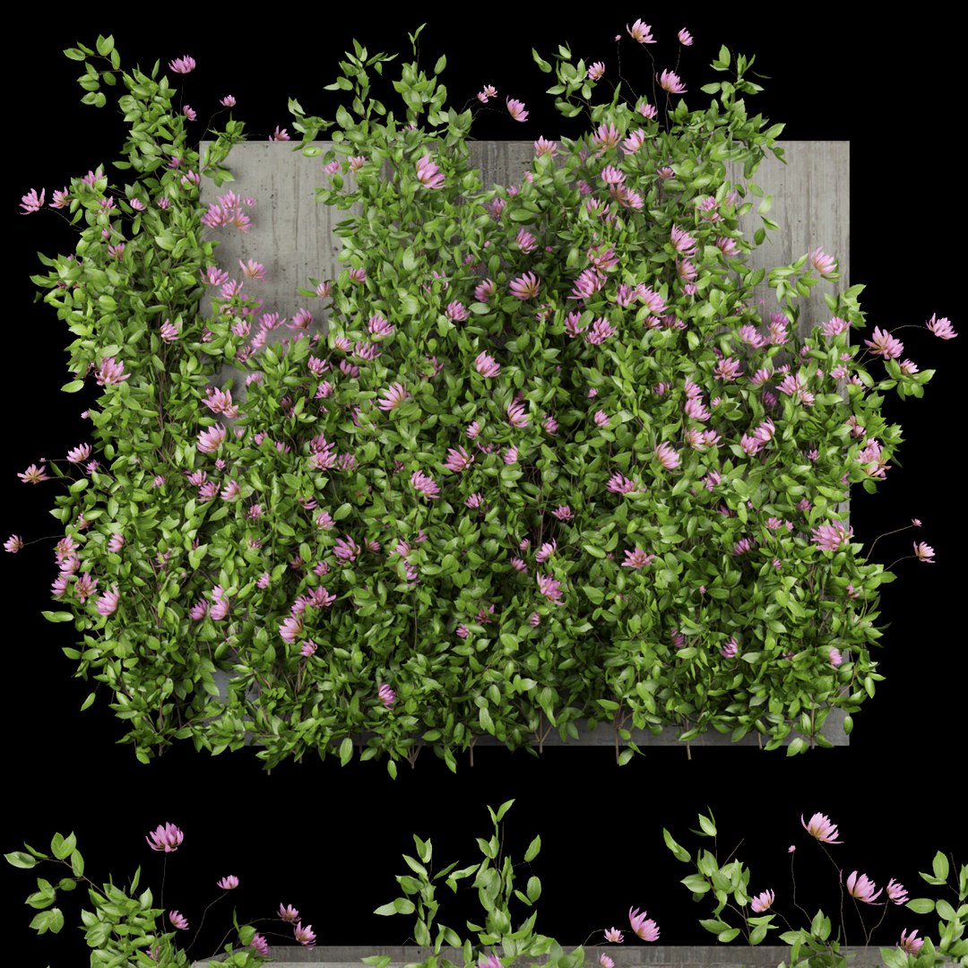 Collection Plant Vol 105 - Ivy - Leaf Model - TurboSquid 1874515