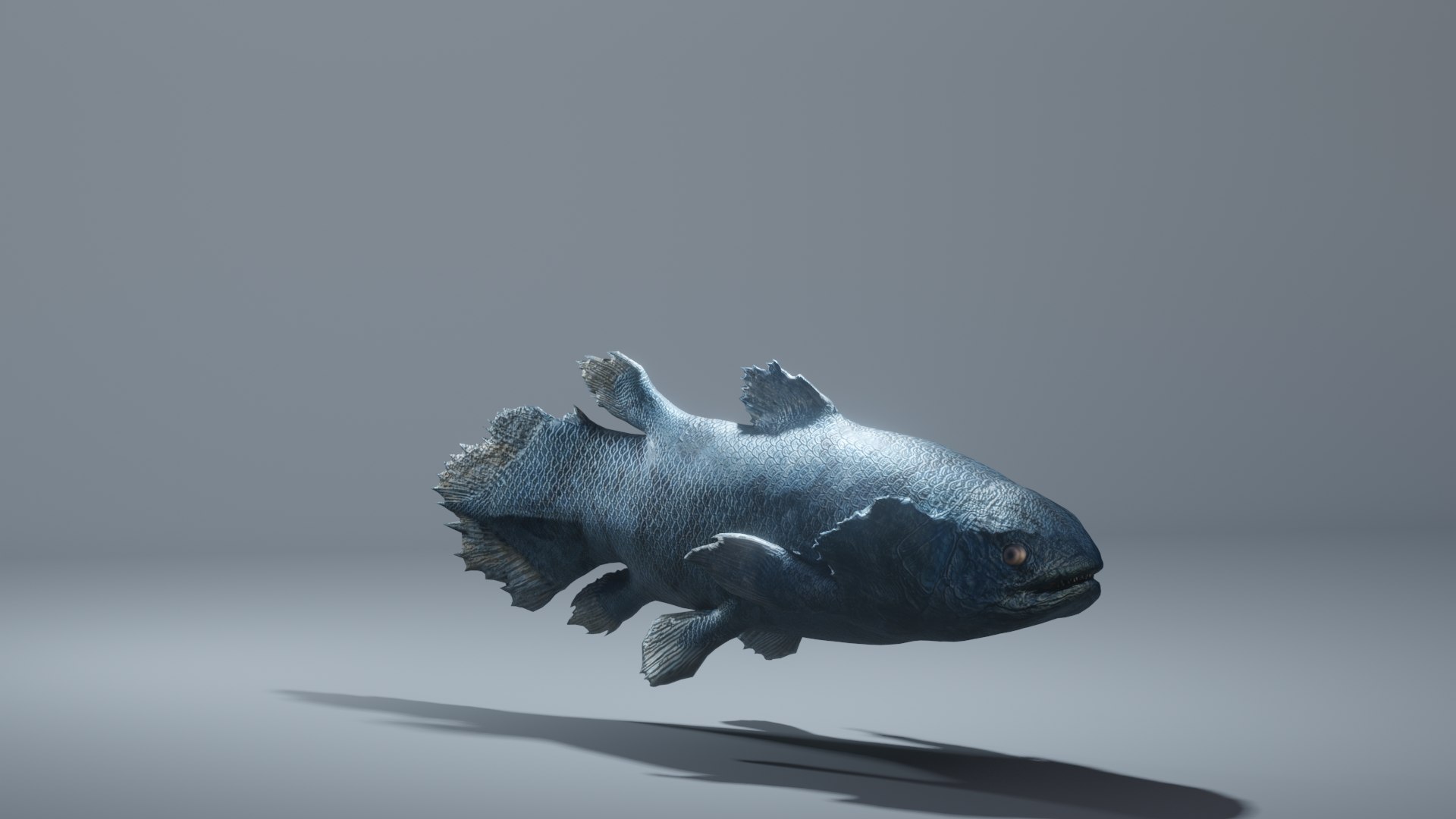 Coelacanth - 3d rigged animal 3D model - TurboSquid 2047199