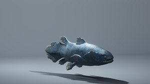 Coelacanth 3D Models for Download | TurboSquid