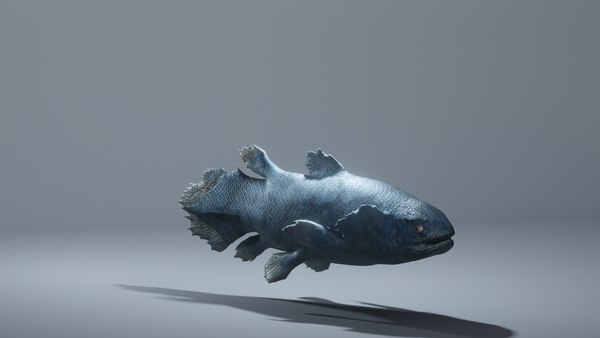 Coelacanth 3D Models for Download | TurboSquid