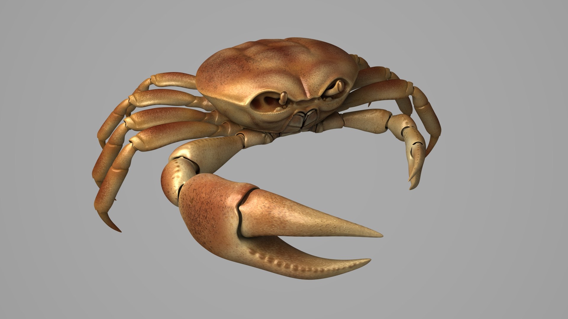 Animate 3D - TurboSquid 1174560