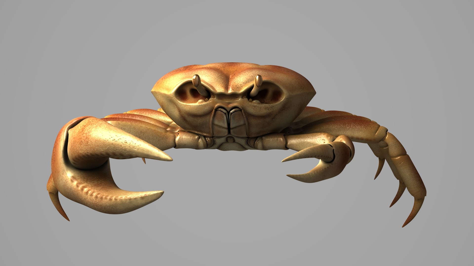 Animate 3D - TurboSquid 1174560