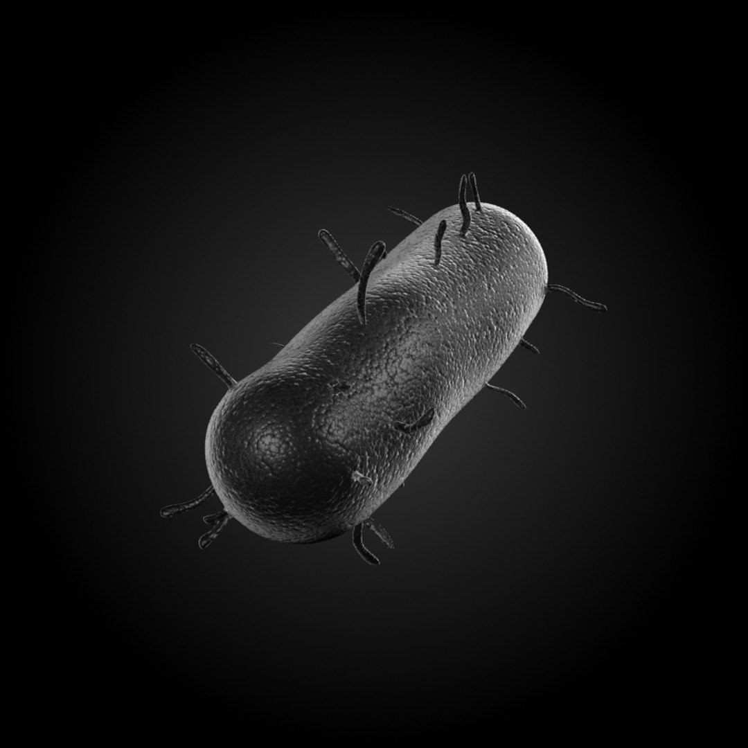 3d Model Of Microbes Micro Organisms