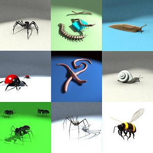 Animal 3D Models for Download | TurboSquid