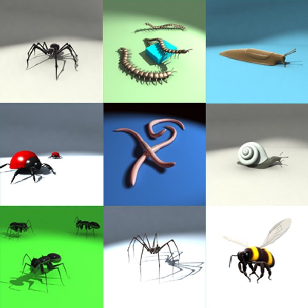 Worm 3D Models for Download | TurboSquid