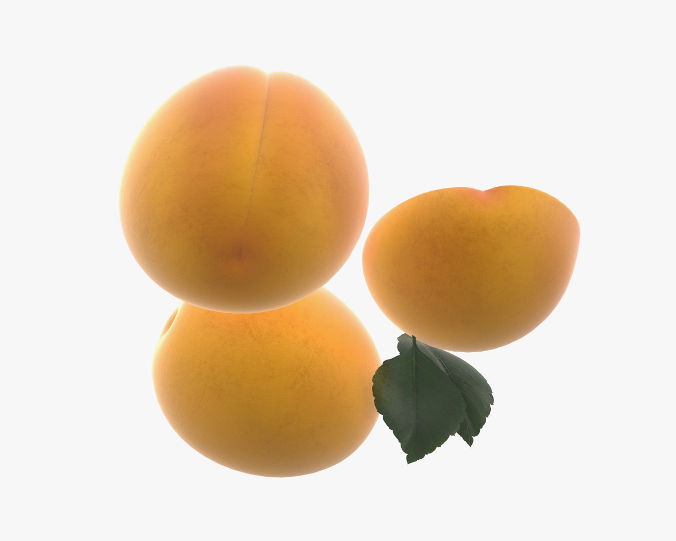 Apricot fruit fresh 3D model - TurboSquid 1388998