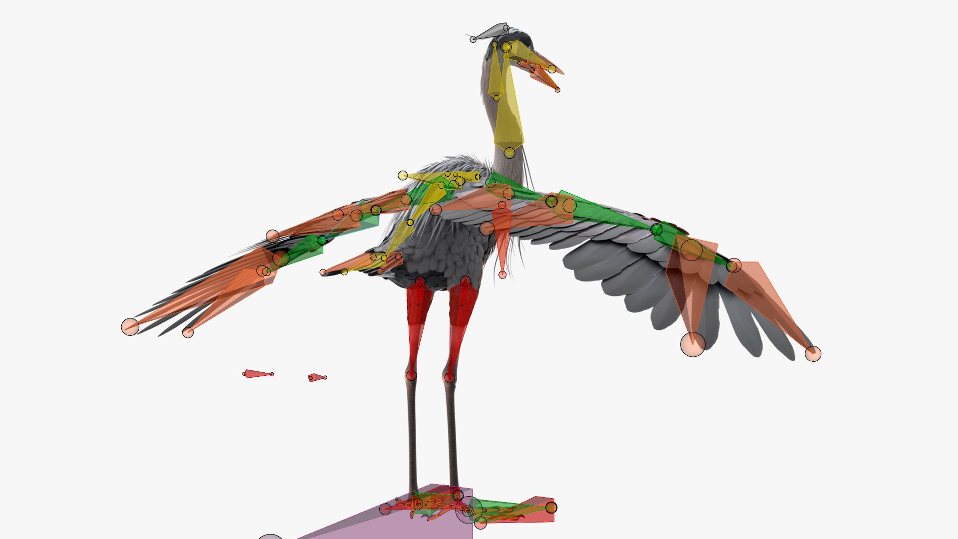 Realistic Great Blue Heron Animated Rigged For Blender Model ...