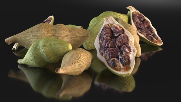 3D cardamom spice plants tree model - TurboSquid 1381209