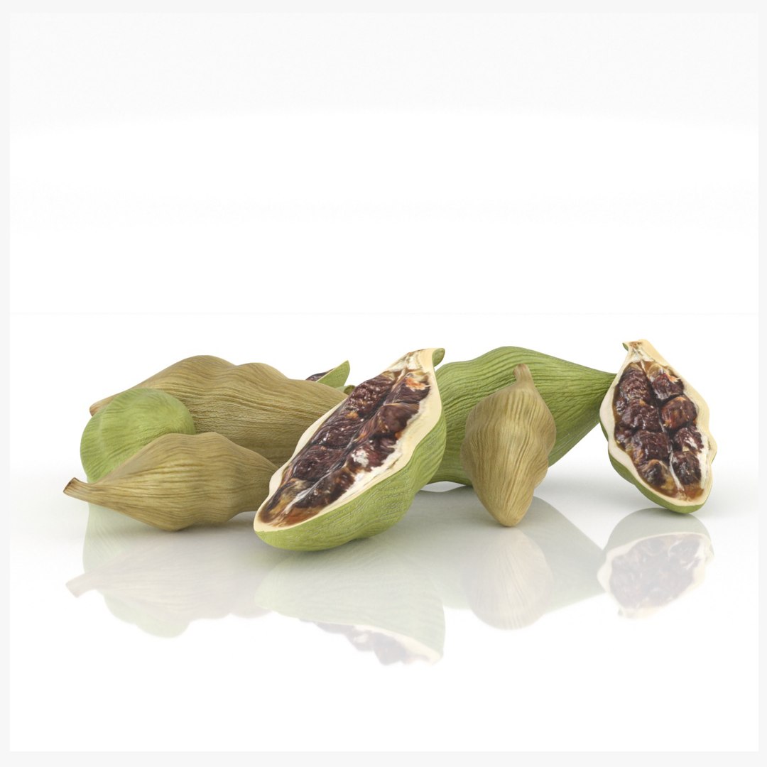 3D cardamom spice plants tree model - TurboSquid 1381209
