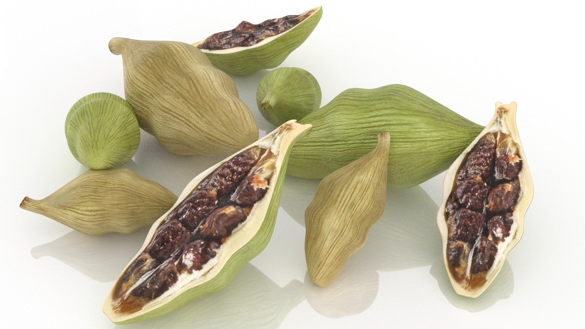 3D Cardamom Spice Plants Tree Model - TurboSquid 1381209