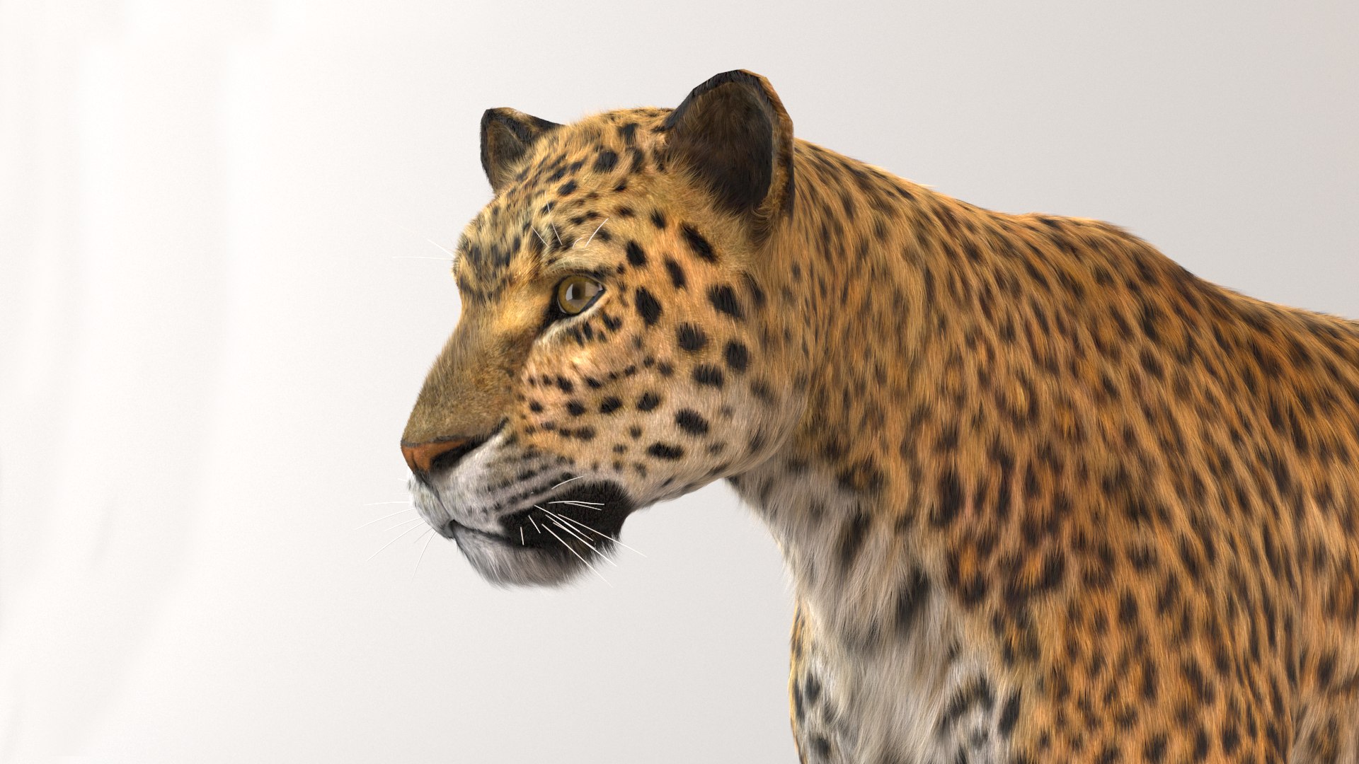 3D Vary Tiger Fur Model - TurboSquid 1440285