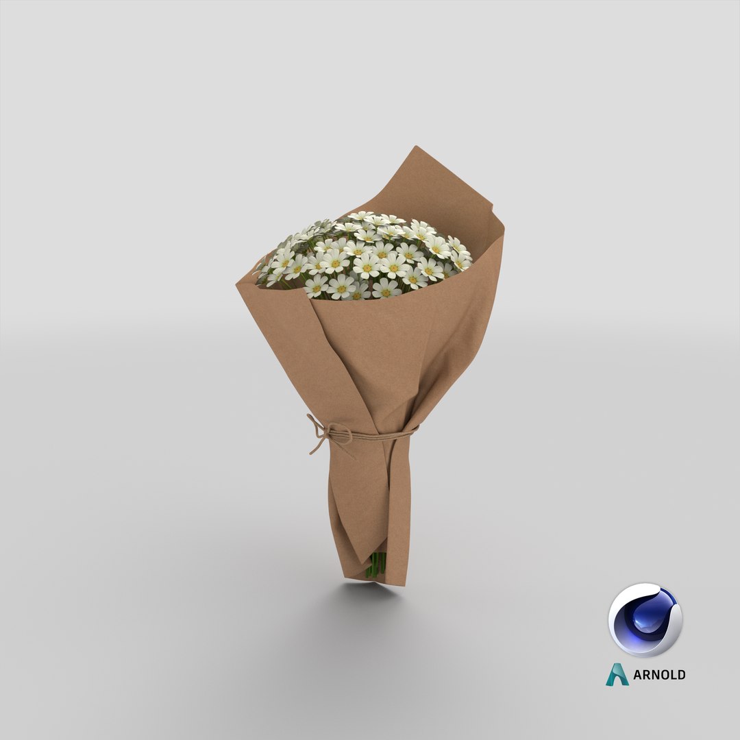 Daisy Bouquet 3D Model - TurboSquid 2089136