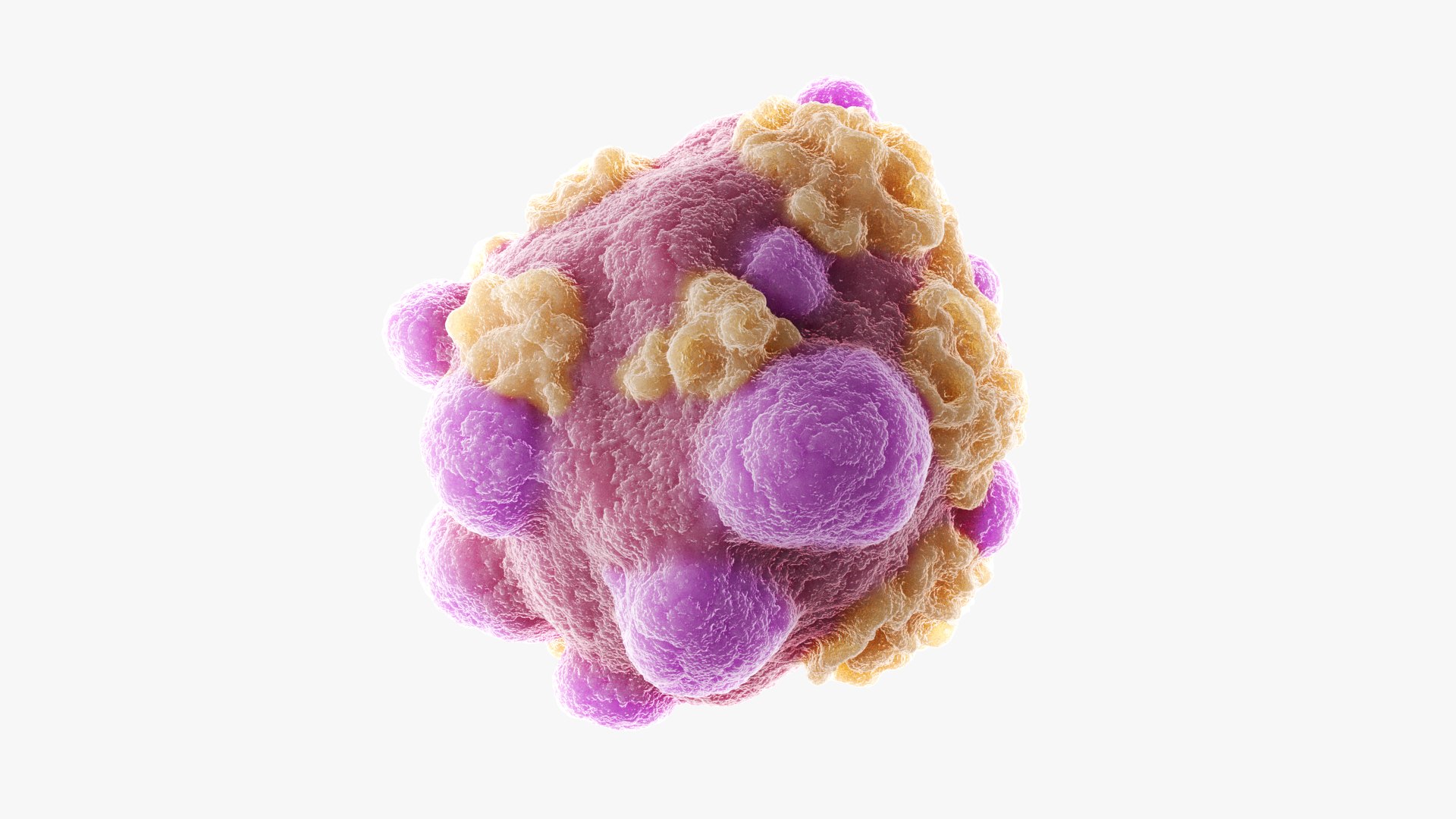 Cell Leukemia 3D Model - TurboSquid 2053461