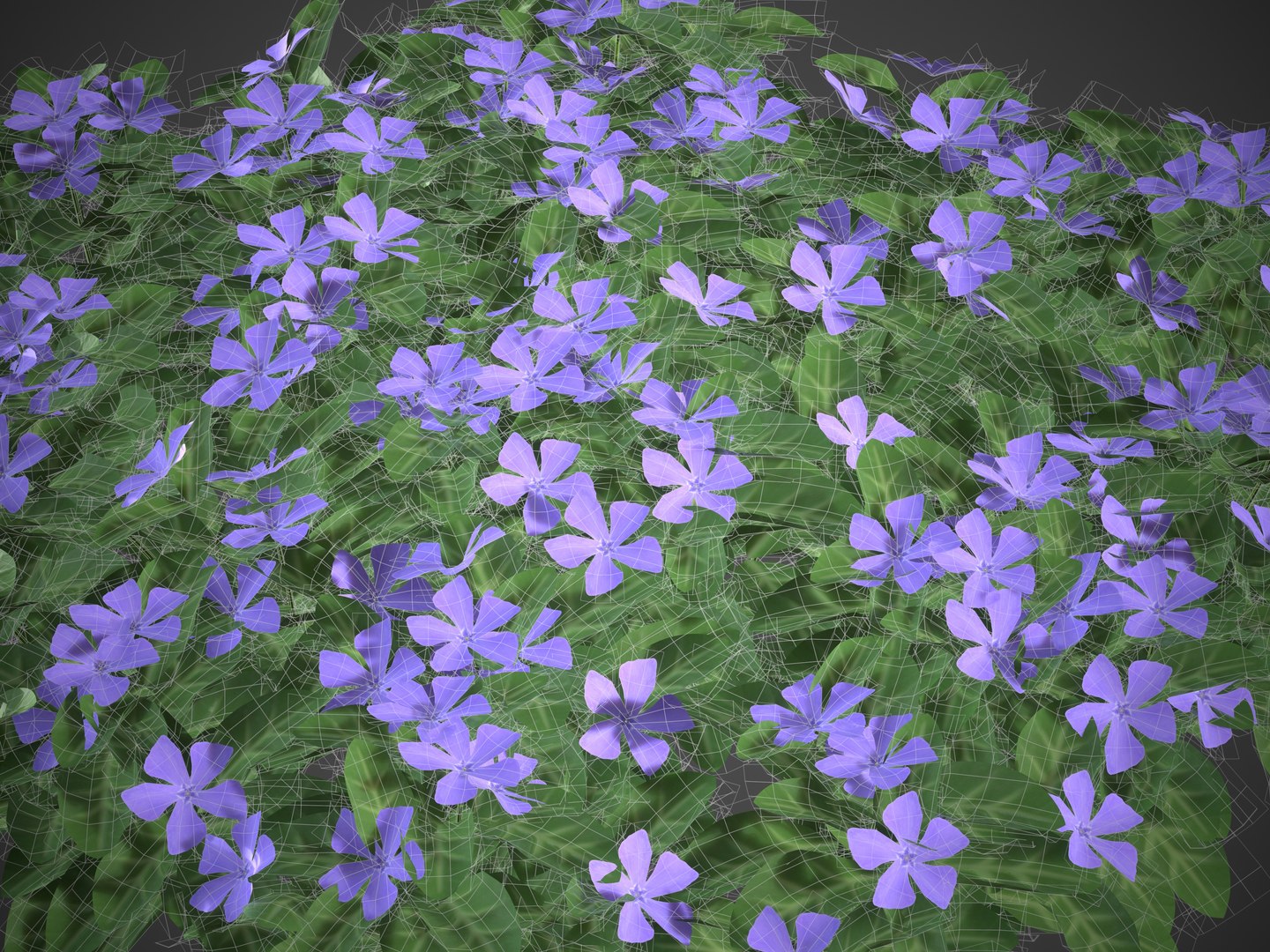 XfrogPlants Lesser Perriwinkle - Vinca Minor Model - TurboSquid 1741647