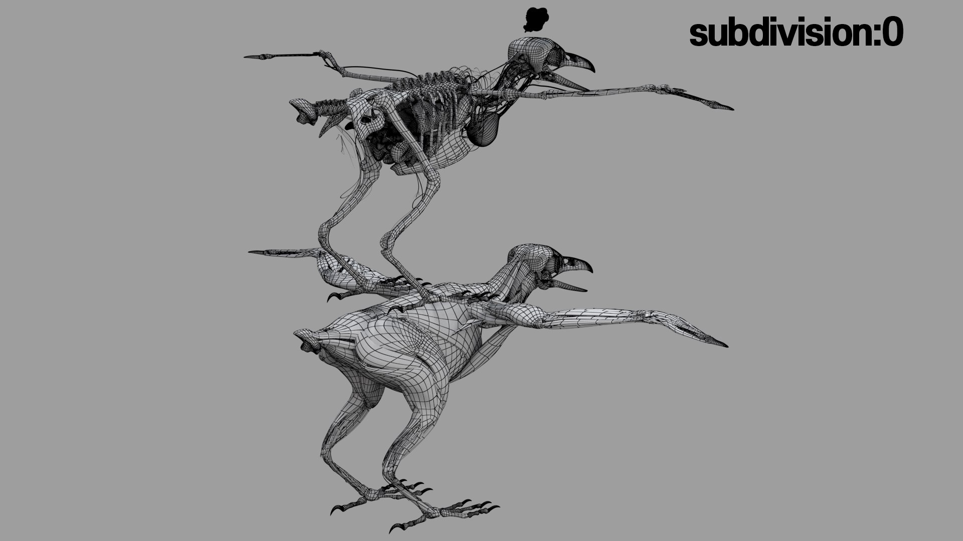 3D Model Rigging Crow Anatomy - TurboSquid 1521224