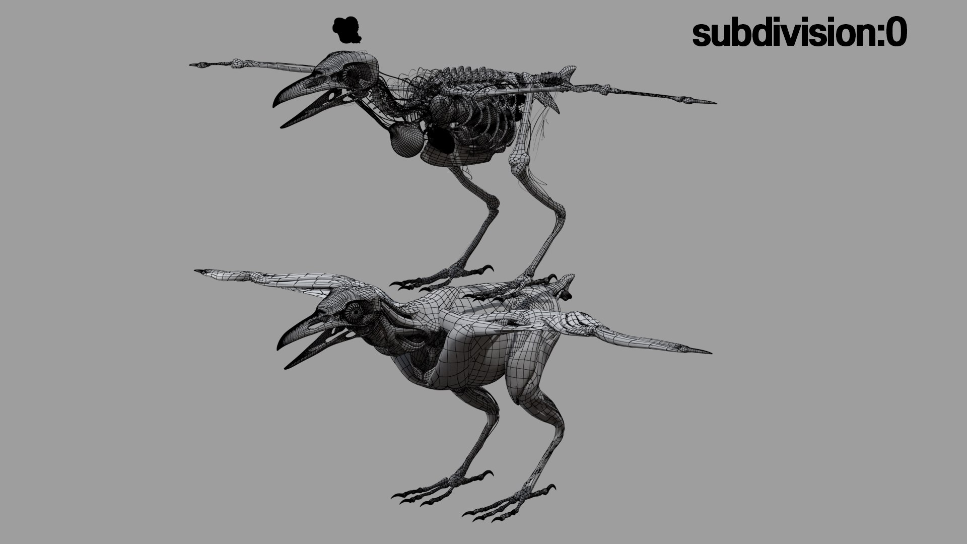 3D Model Rigging Crow Anatomy - TurboSquid 1521224