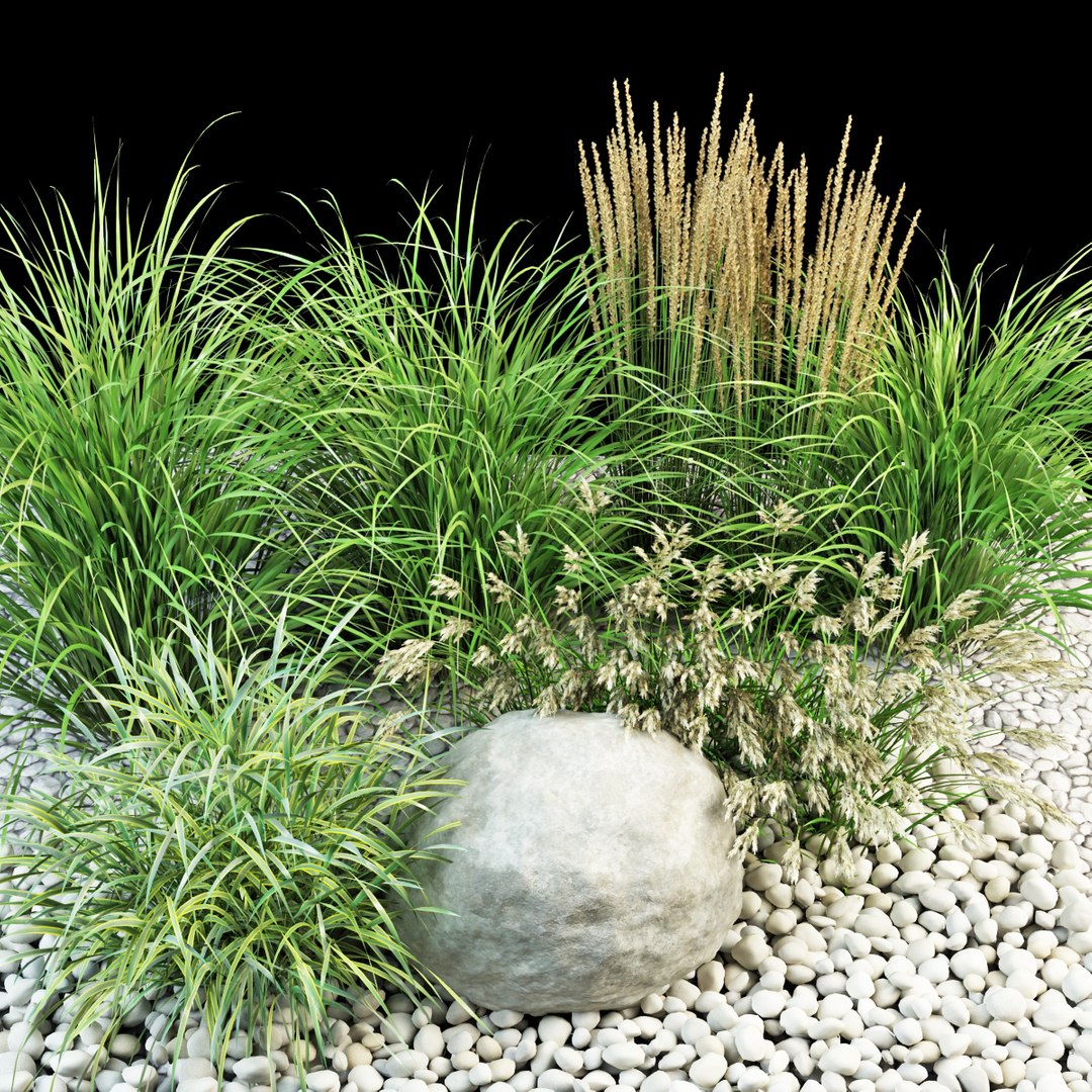 3d Grasses Planting Garden