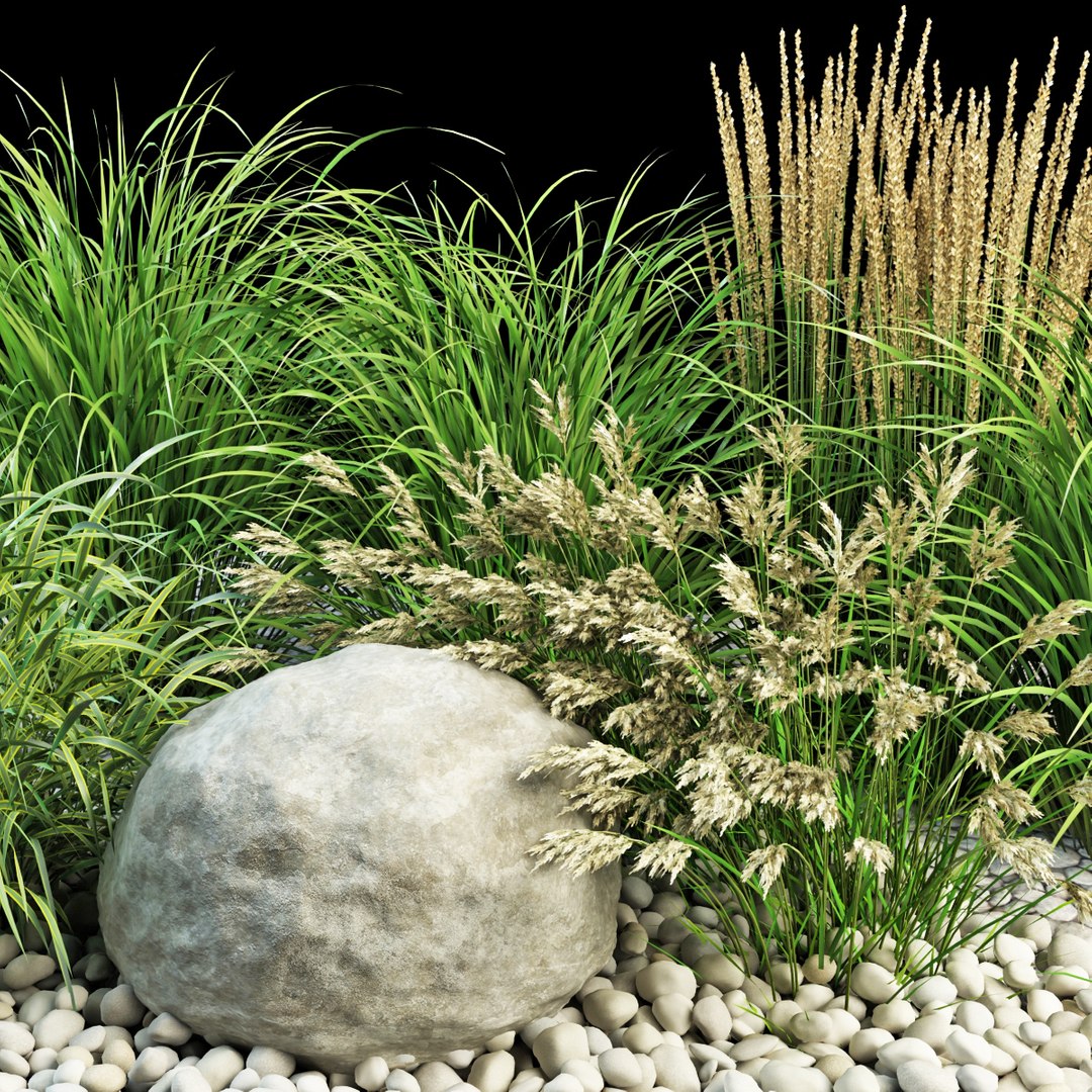 3d Grasses Planting Garden