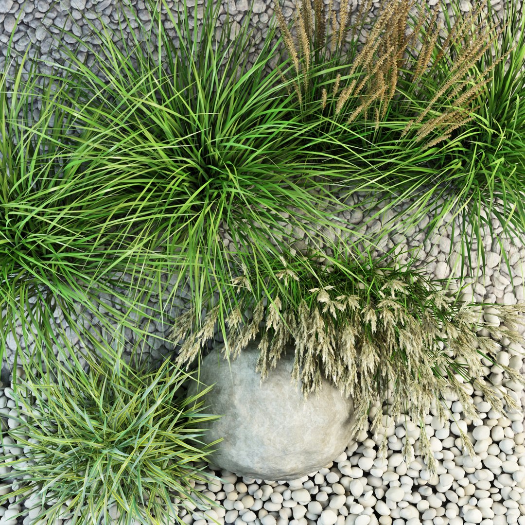 3d Grasses Planting Garden