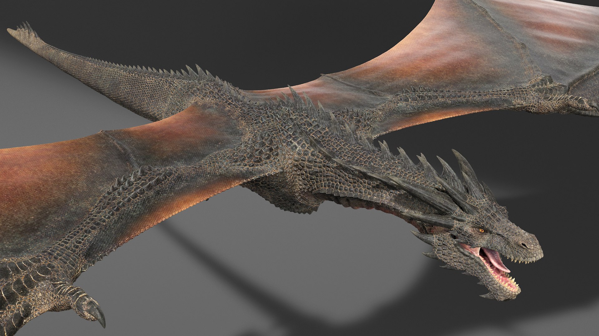 Dragon rig black 3D - TurboSquid 1561049