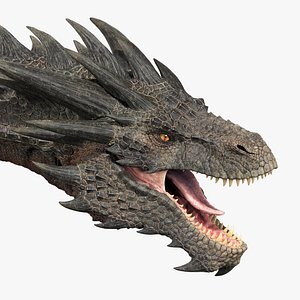 dragon 3d view