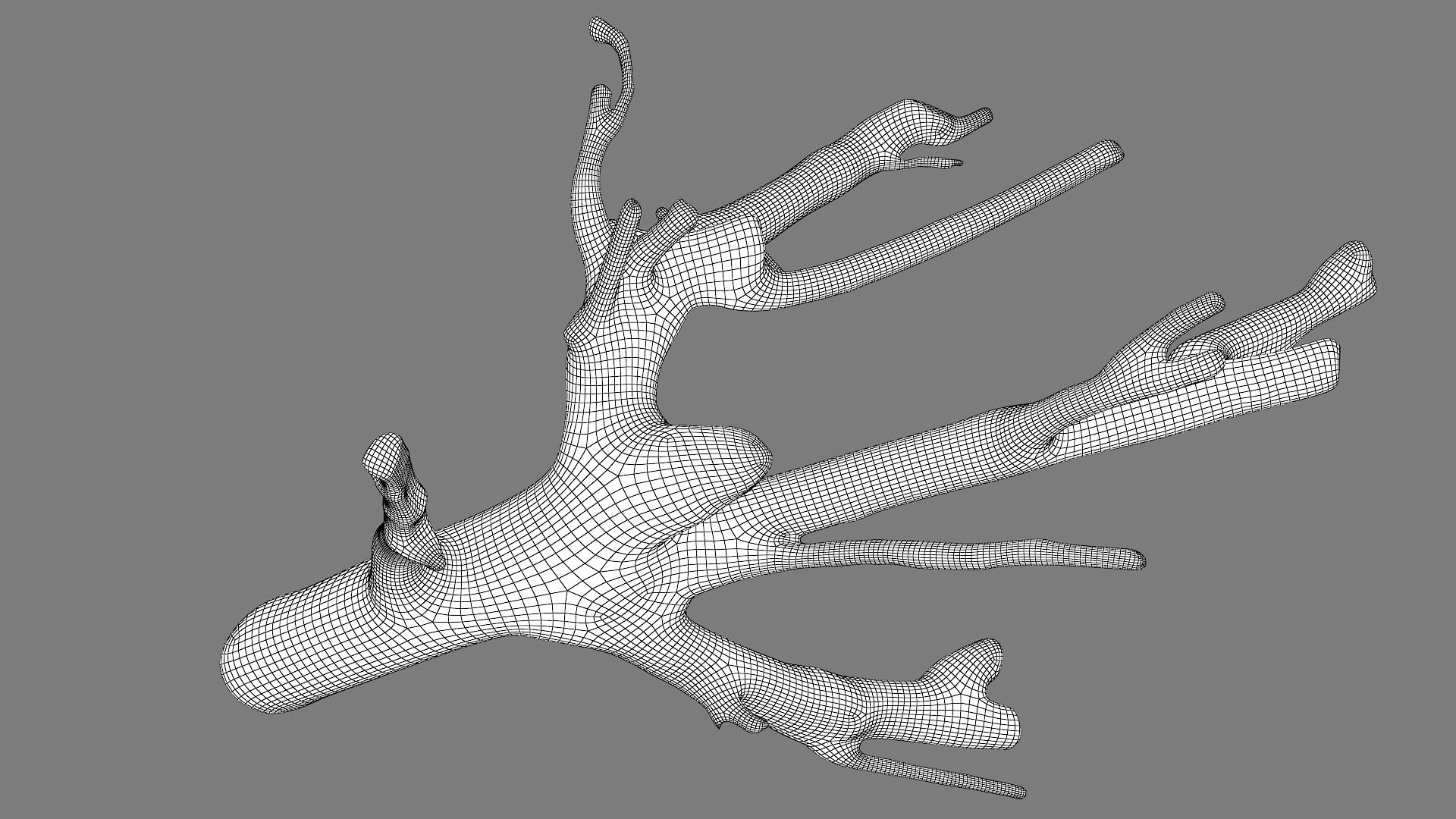 3D Twig Scanned 26 Model - TurboSquid 2088514