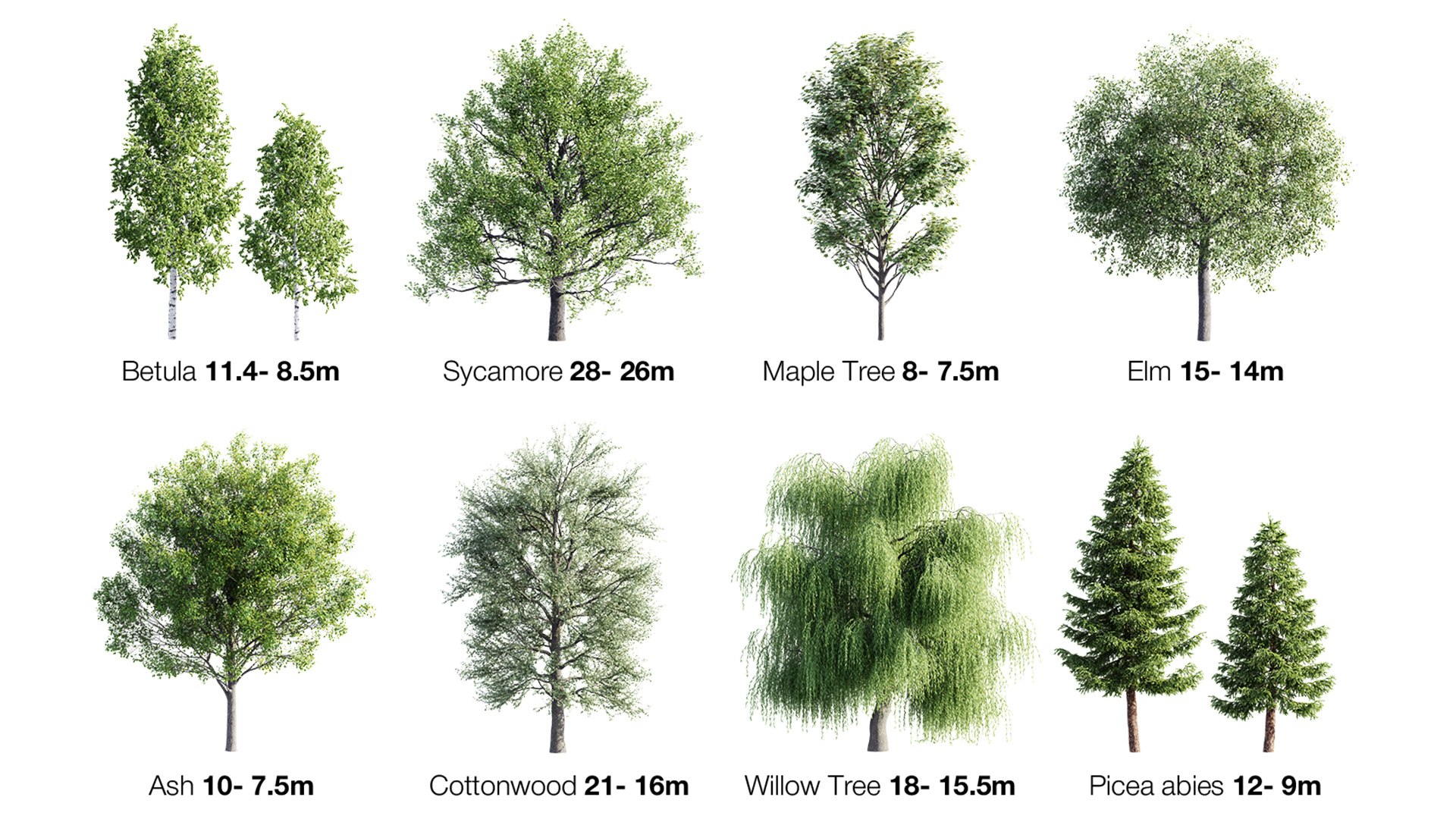 3D Trees And Bushes Collection - TurboSquid 1725842