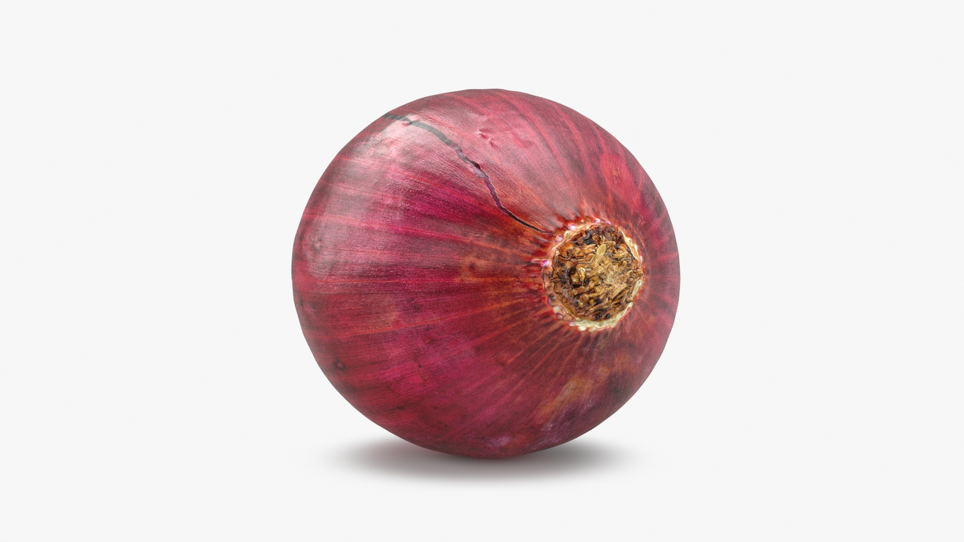 Red Onion Collection 2 3D Model - TurboSquid 2168580
