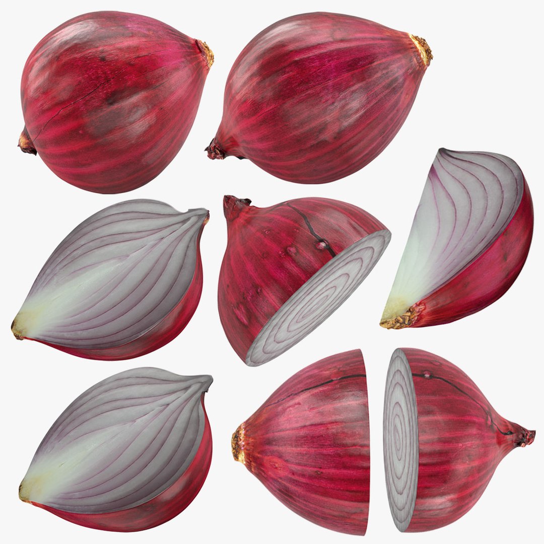 Red Onion Collection 2 3D Model - TurboSquid 2168580