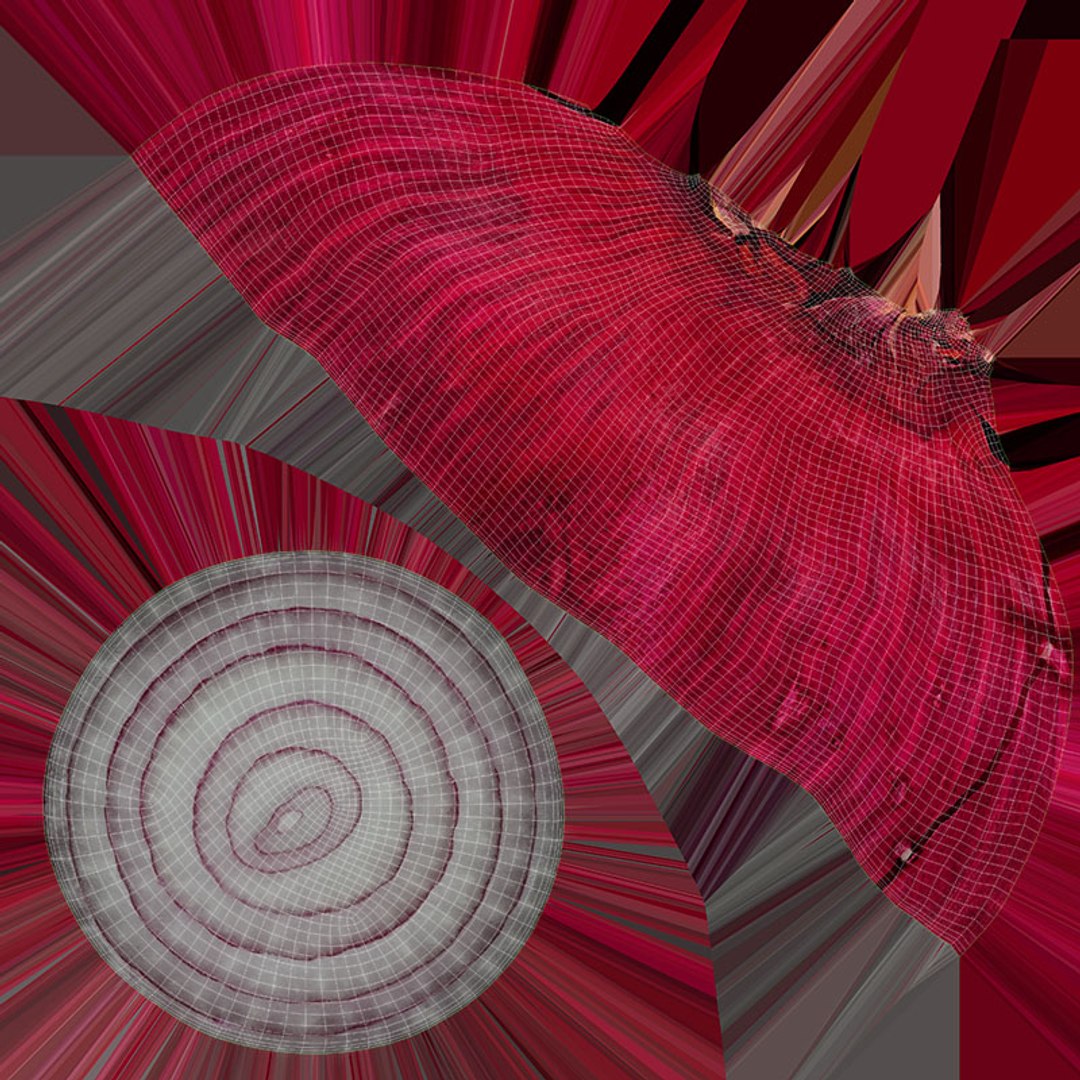 Red Onion Collection 2 3D Model - TurboSquid 2168580